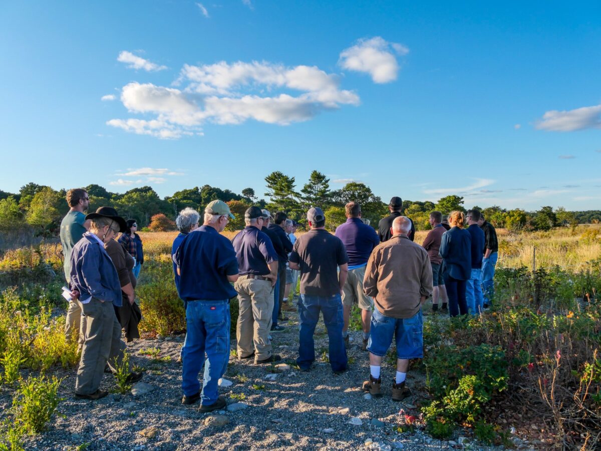 New Hampshire Landscape Association (NHLA) - Your Expert Landscaping ...